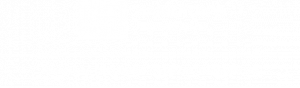 Shaun Hamilton Attorneys | Legal Professionals | About us